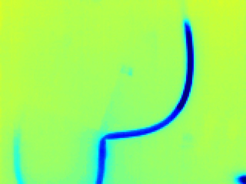 YOLO (yolo-wislr) - Roboflow Universe