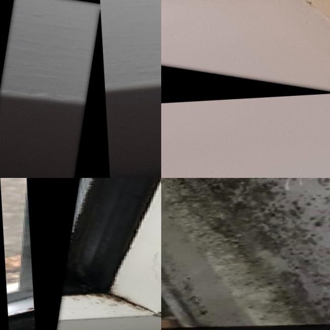 mould Object Detection Model by YOLO