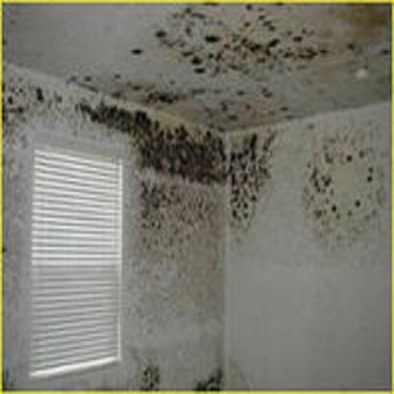 yolo_normal Object Detection Dataset and Pre-Trained Model by YOLO