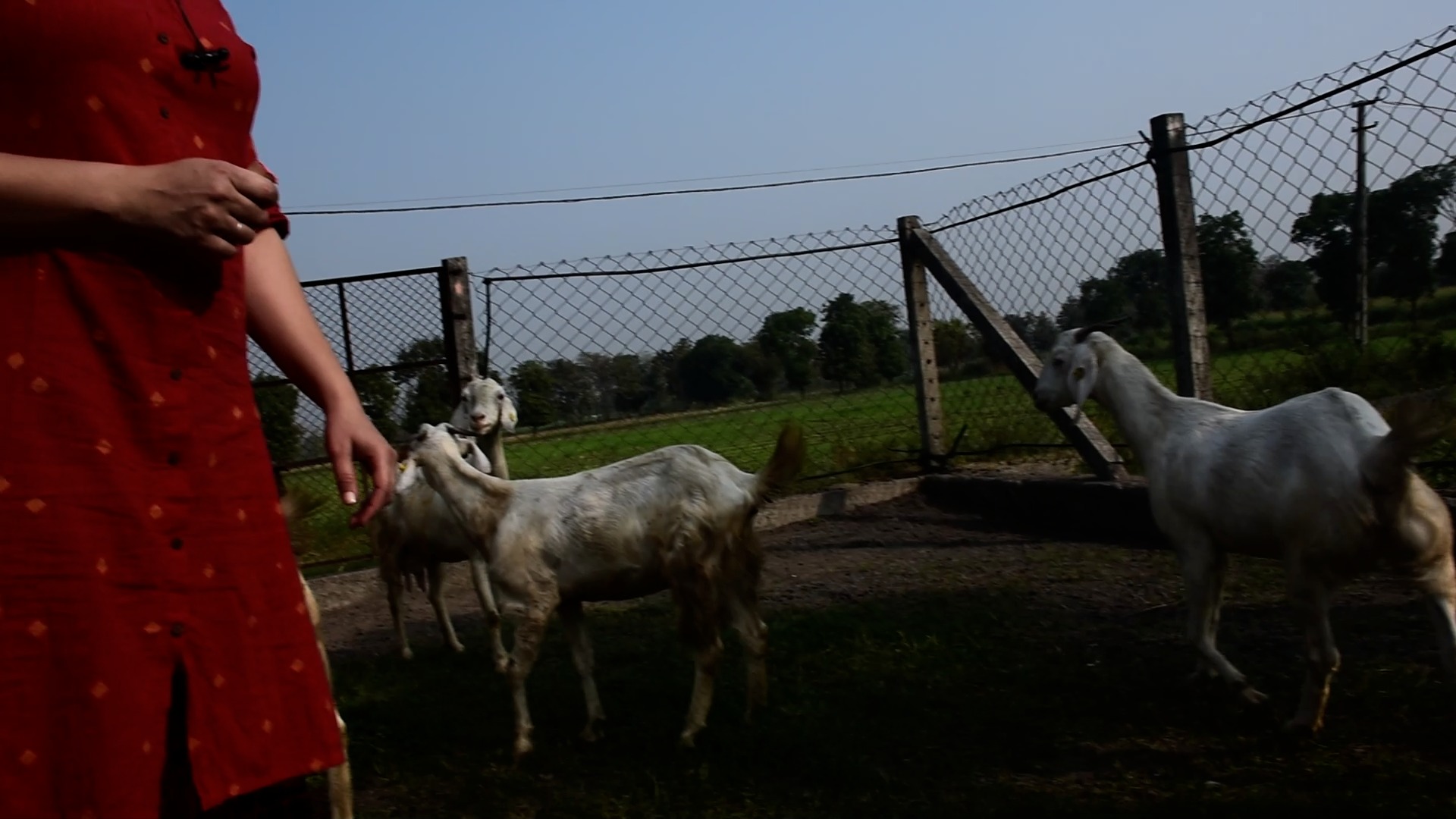 SKM3205 Project 2 Object Detection Dataset by SKM3205 PROJECT