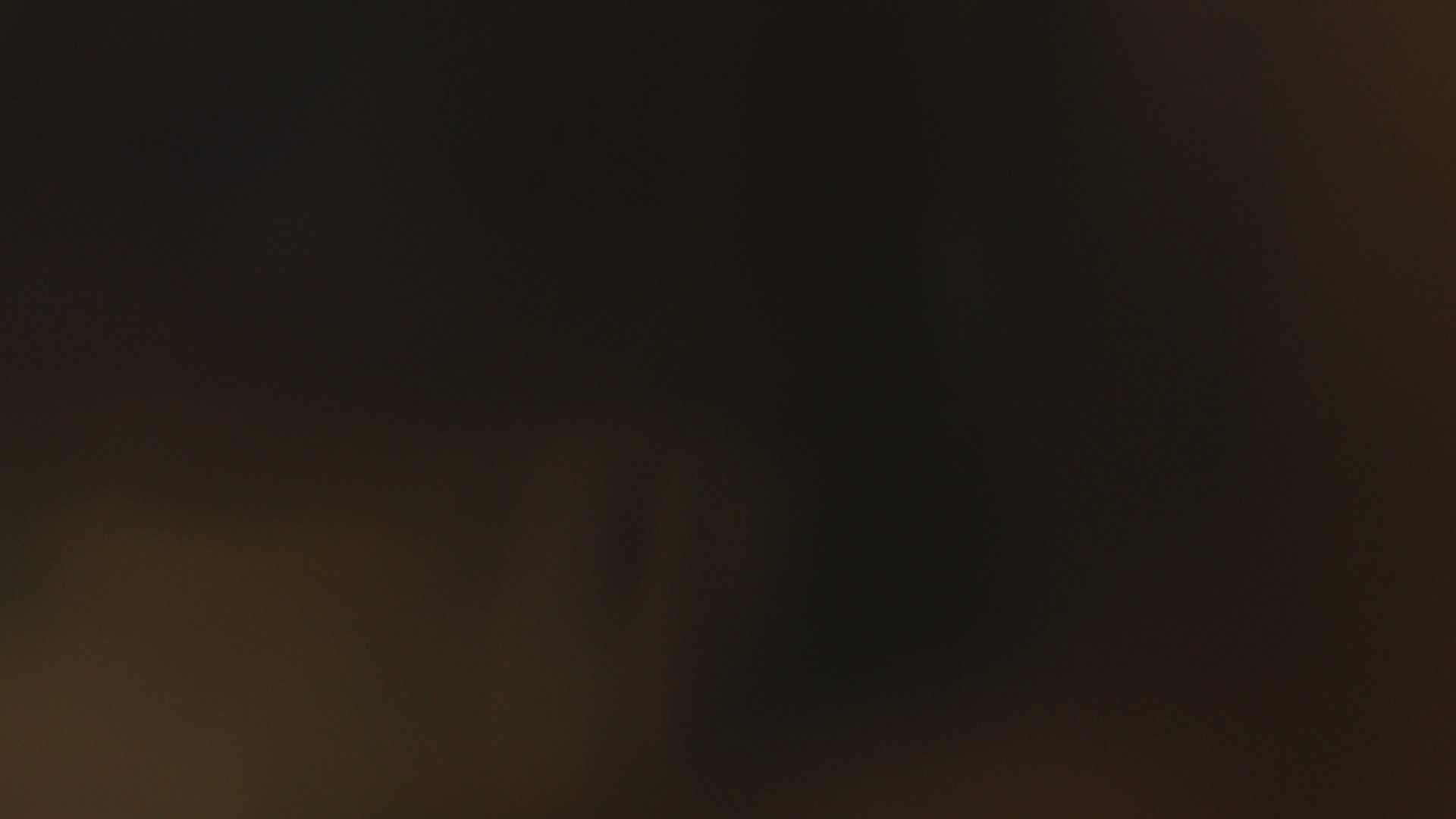 Yolo model Object Detection Dataset by sammy