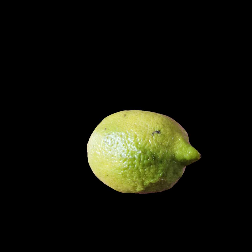 Lemon Detection Object Detection Dataset And Pre Trained Model By New Workspace I5j66