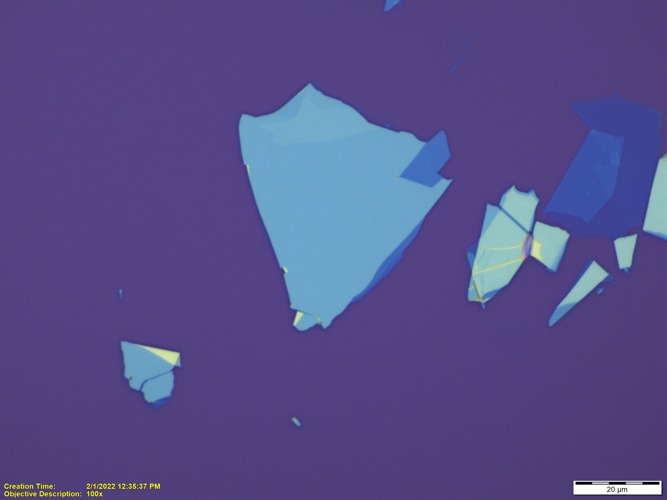 Flakes Detection Instance Segmentation Dataset by 2D Material