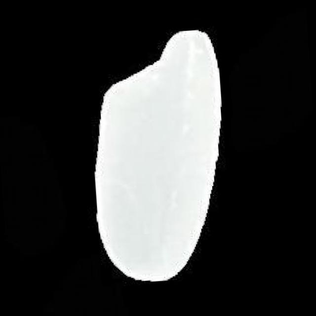 rice Classification Dataset and Pre-Trained Model by carne