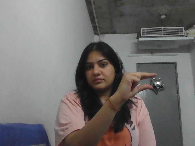 asl new Object Detection Dataset by Tinkering