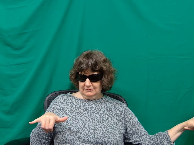 How to Use the Big ASL v1 Object Detection API