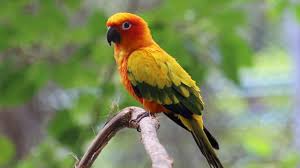 tip Classification Dataset by Tip