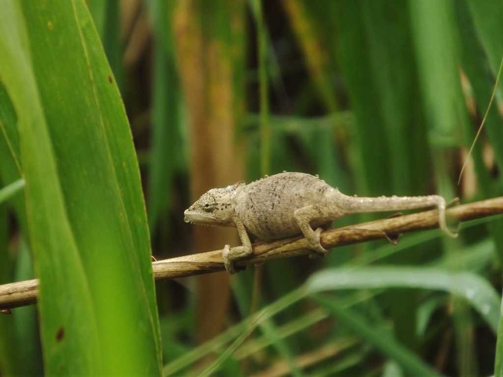 Demo (demo-1qm1o) - Roboflow Universe