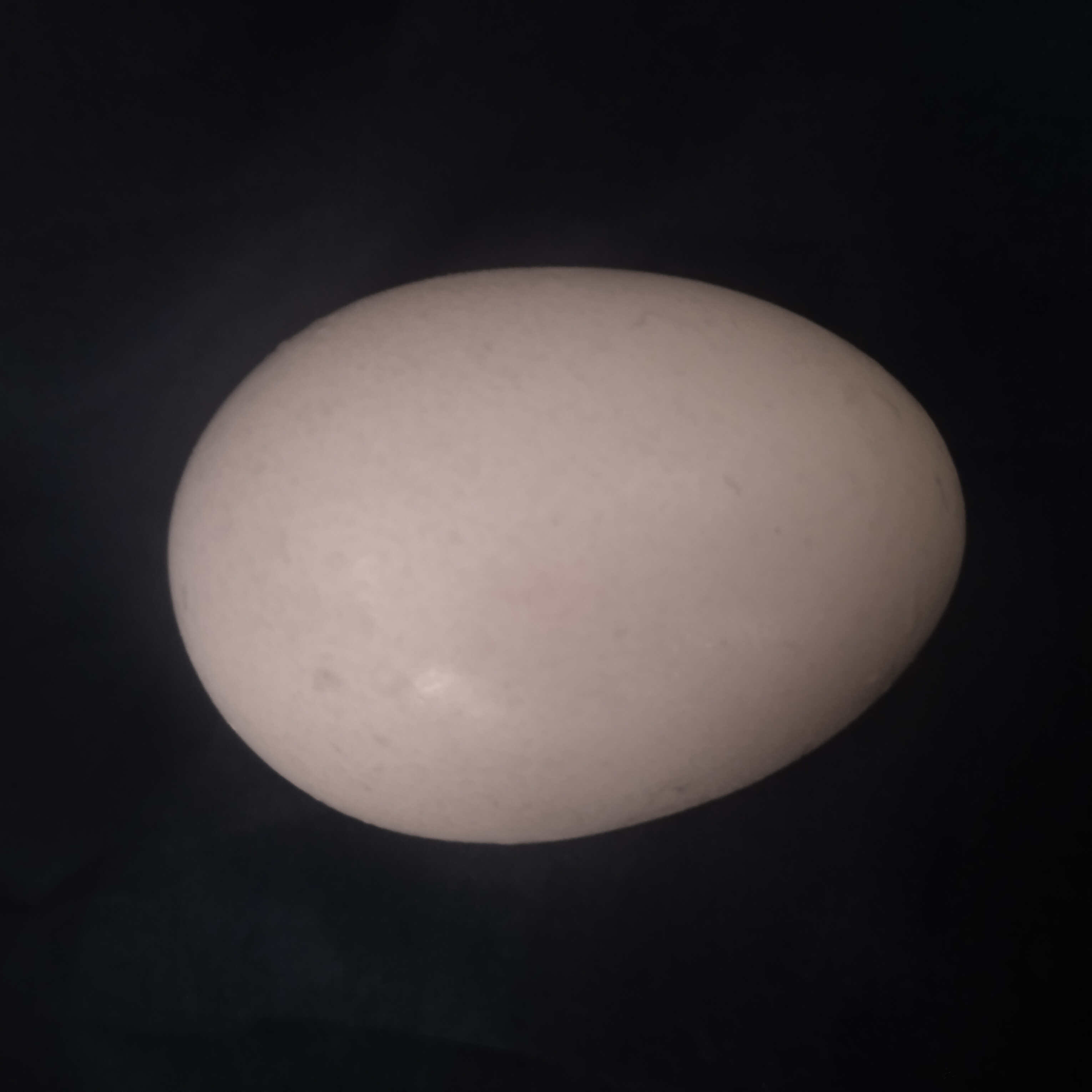 3 Class Egg Detection Final Object Detection Model by Cooking Items