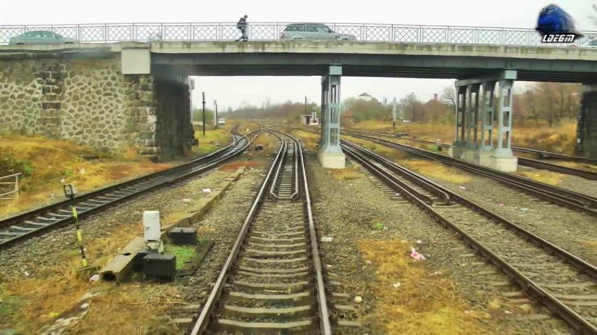 siminsimin Instance Segmentation Dataset and Pre-Trained Model by rail