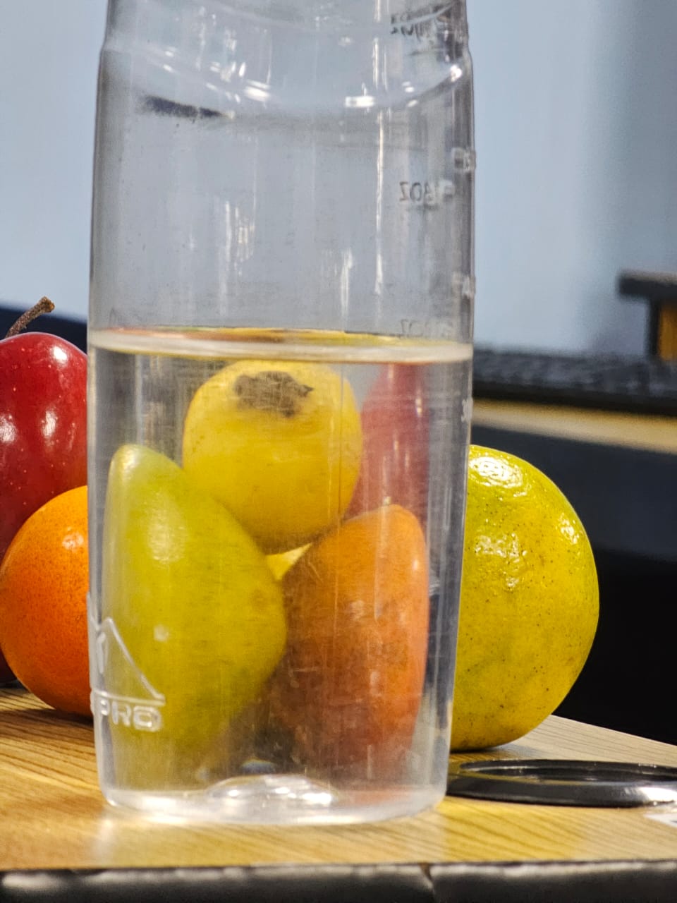 Práctica Final Object Detection Dataset And Pre Trained Model By Prctica Deteccin