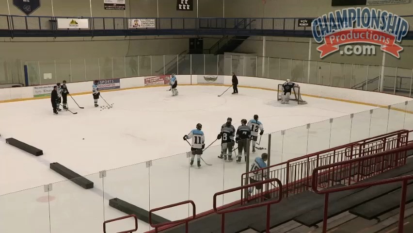 Hockey Object Detection Model by DITTO