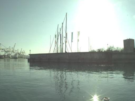 Marine Object Detection Dataset By Marine