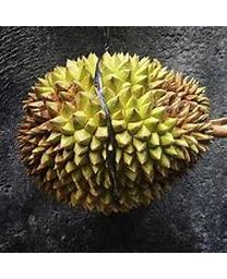 durian Object Detection Dataset and Pre-Trained Model by VietNam Fruit in Lab