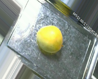 How to Use the Mango Object Detection API