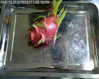 Pitaya and Jackfruit Object Detection Dataset and Pre-Trained Model by VietNam Fruit in Lab