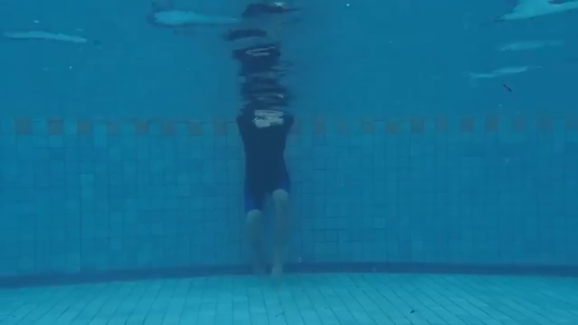 Project Object Detection Model By Project