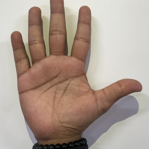 Gesture Detection Object Detection Dataset And Pre Trained Model By Gopal