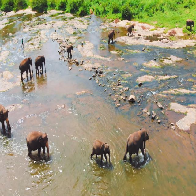 Animal detection 2 Object Detection Dataset by Wild Animals Datasets