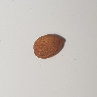 elfak - Roboflow Universe