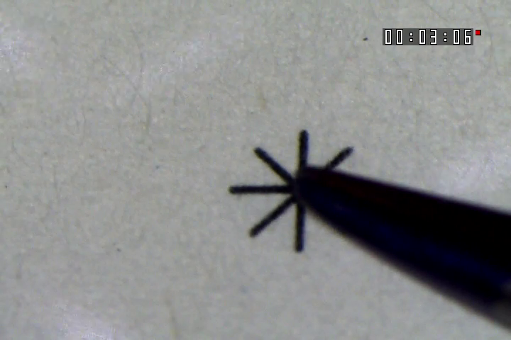 Microscope Instance Segmentation Dataset And Pre Trained Model By Luyintest