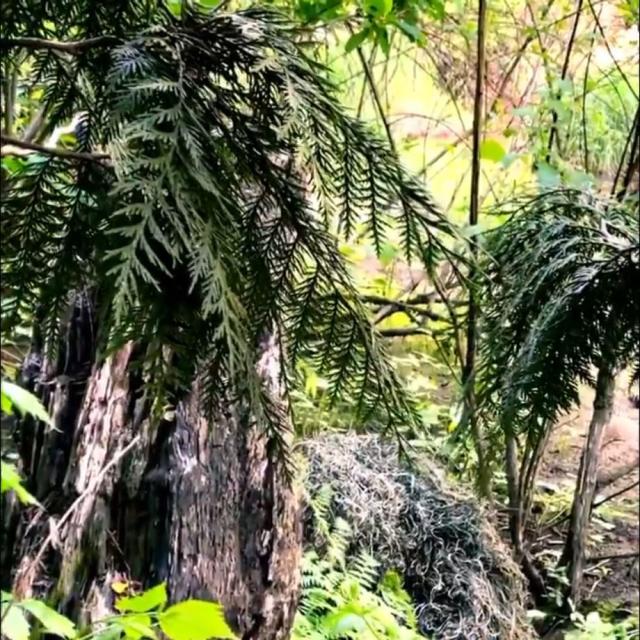 My First Project Object Detection Dataset And Pre Trained Model By Ml Lab