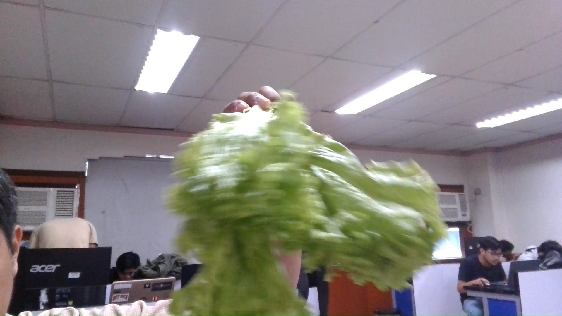 lettuce Object Detection Dataset by asfe