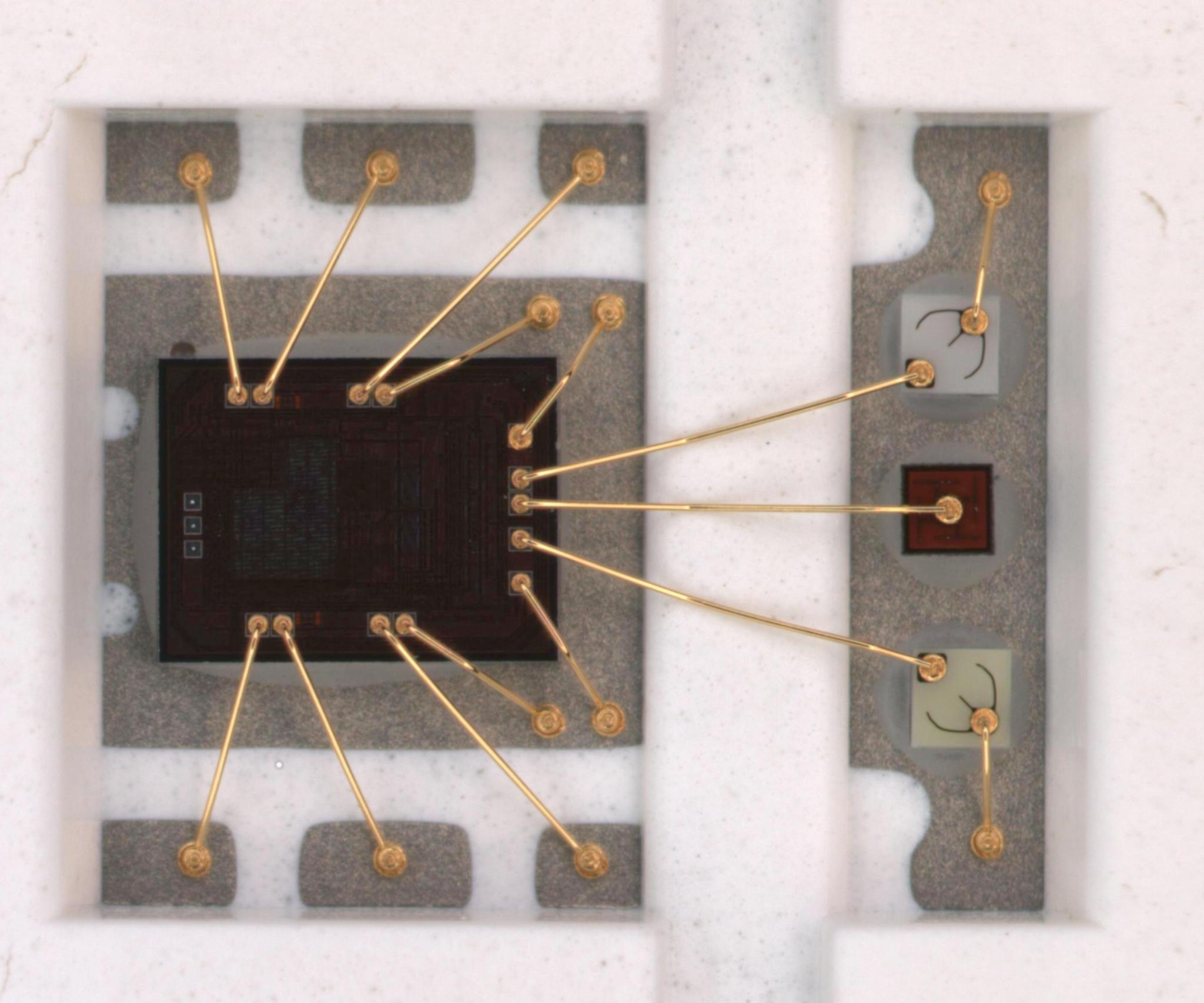 yolodev (yolodev-bhecs) - Roboflow Universe