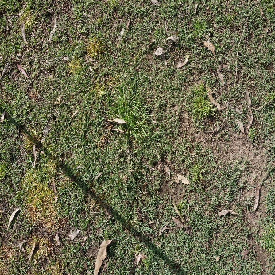 train Object Detection Dataset by Thesis