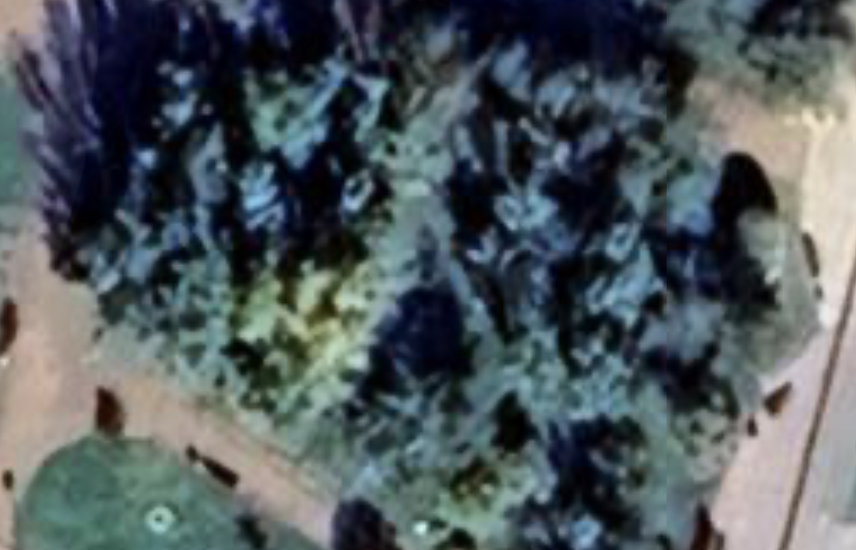 How to Use the tree detection top view Object Detection API