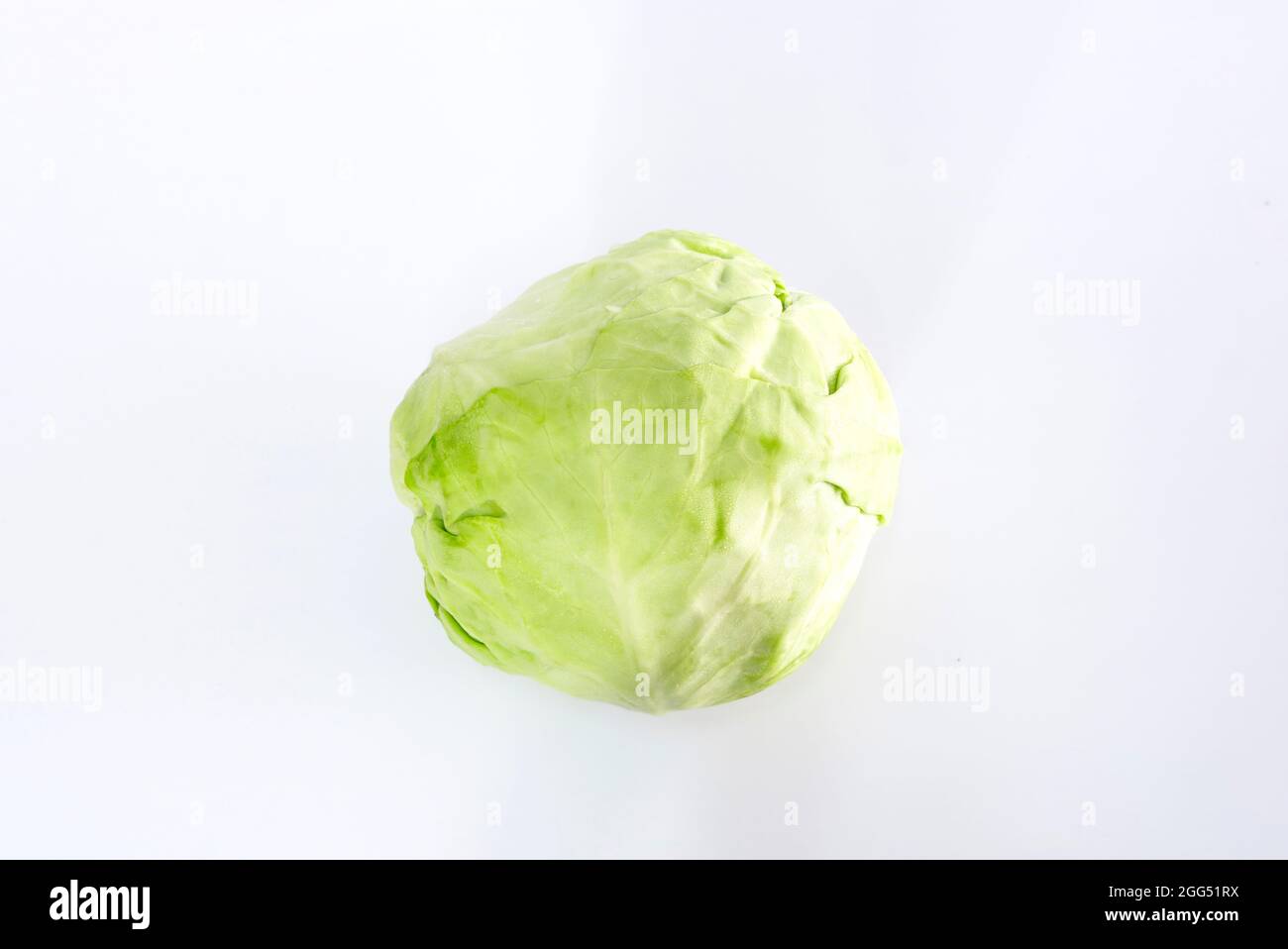 cabbage Object Detection Dataset by IngredientModel