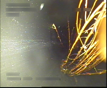 Sewer pipe defects Object Detection Dataset by ruibosha