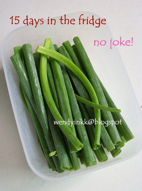 spring onion Object Detection Dataset by newgenprogrammerx