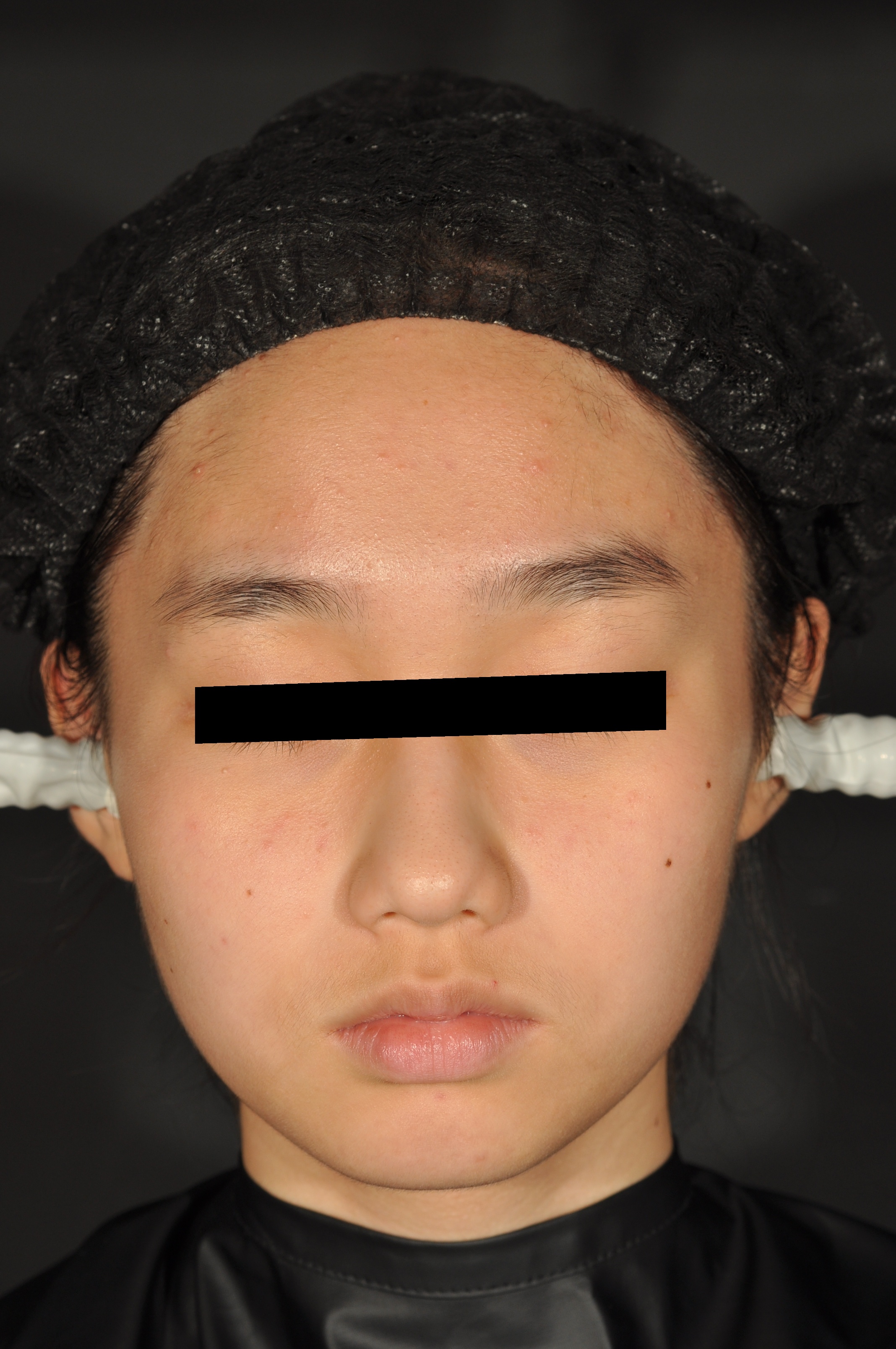 capstone Instance Segmentation Dataset by project