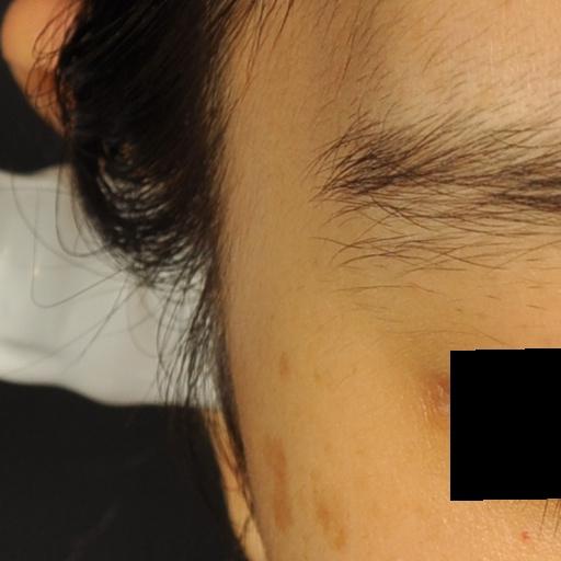 capstone_face Instance Segmentation Dataset by project