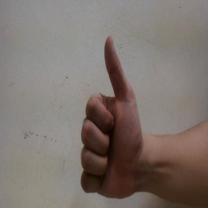 Hand-gesture-seg Instance Segmentation Dataset by ShahiN Workspace