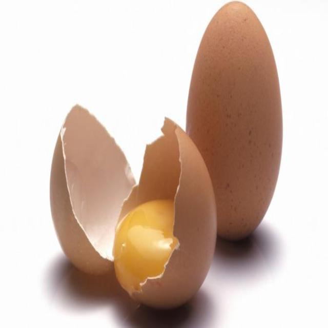 waste_detection_organic_anorganic Object Detection Model by nopaldataset