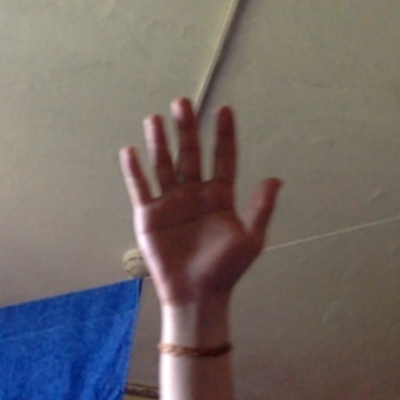 hands Instance Segmentation Dataset by new-workspace-h6hze