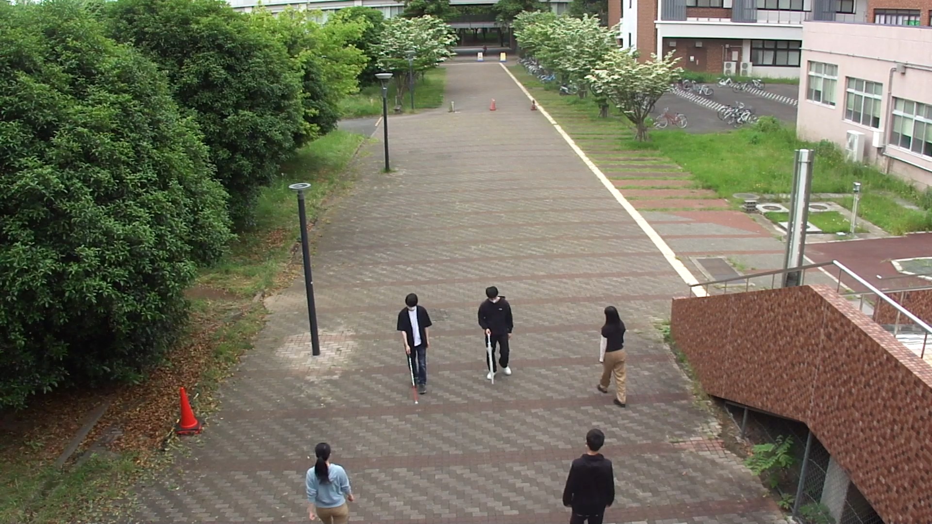 white cane models Object Detection Model by impaired people support system