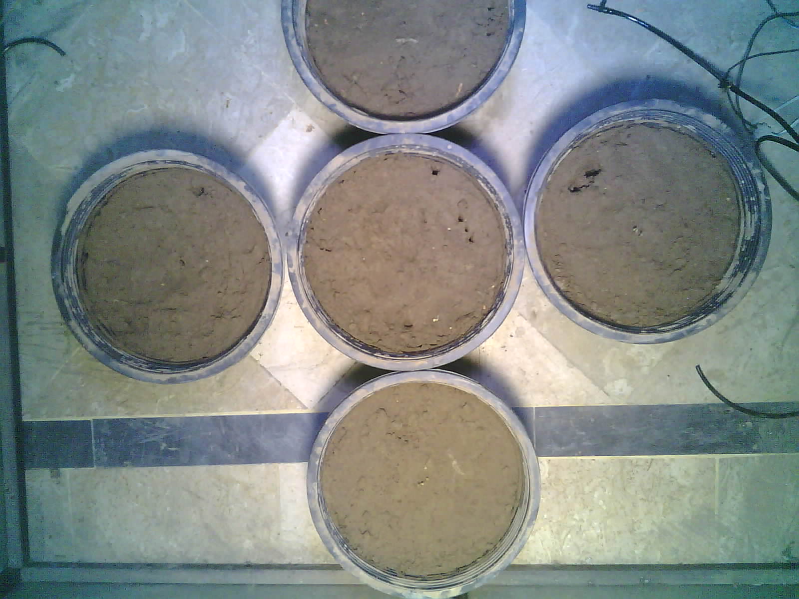 broccoli_dataset Instance Segmentation Dataset by Broccoli