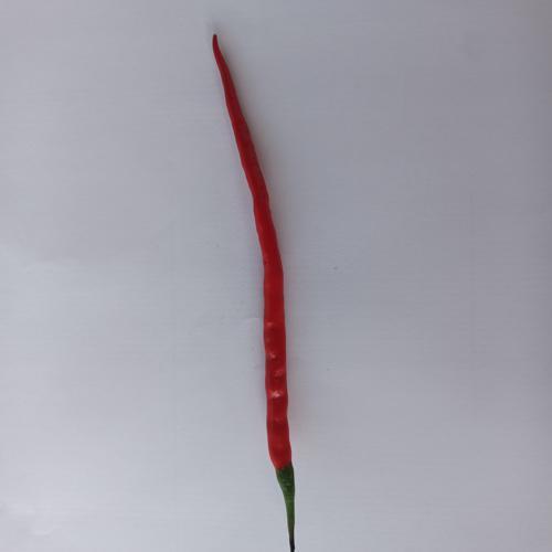 Red Chilli Instance Segmentation Dataset and Pre-Trained Model by Chilli