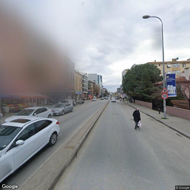 istanbul-road Instance Segmentation Model by roadfix