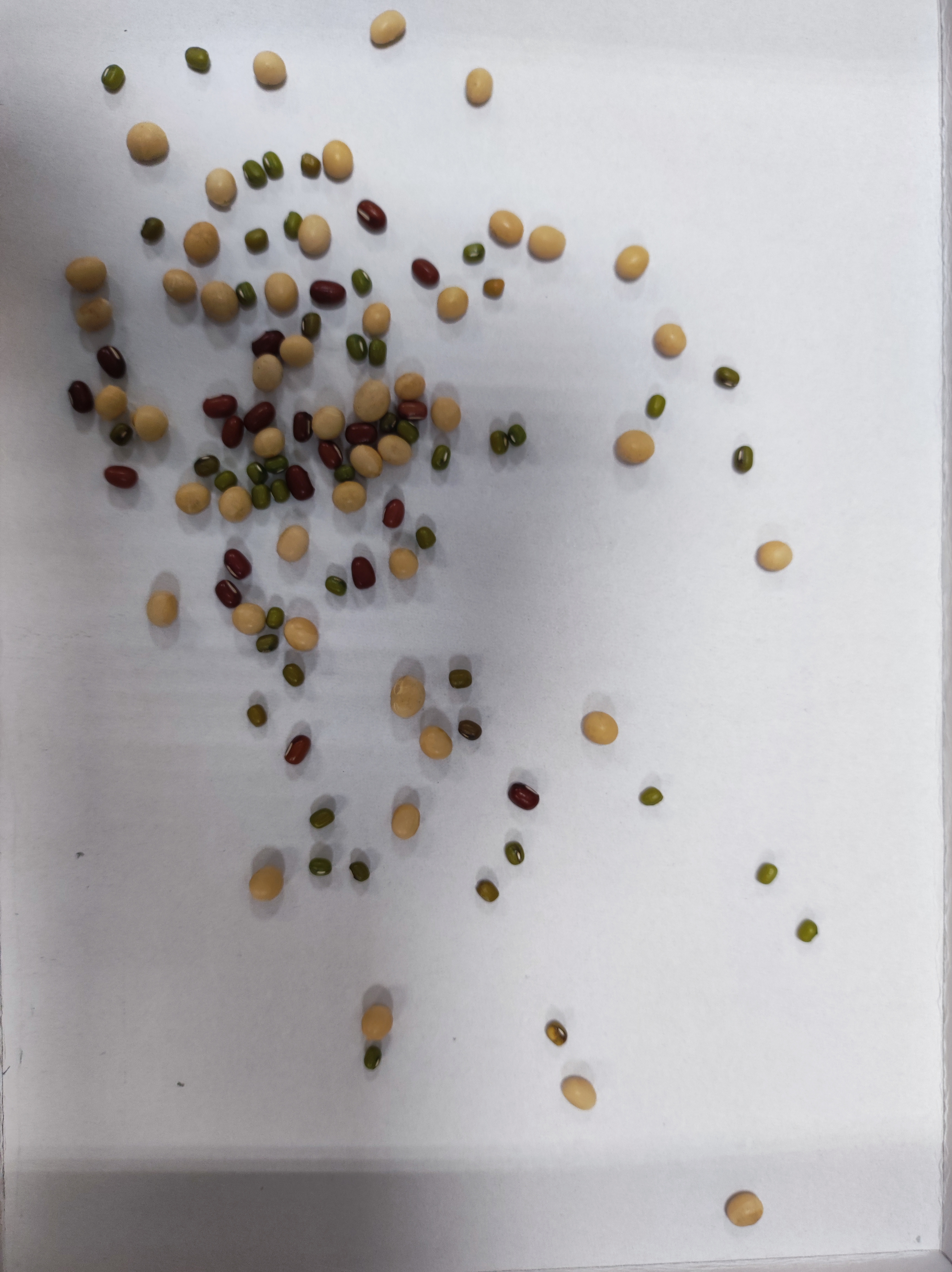 biochipv3 Object Detection Dataset and Pre-Trained Model by dry bean classification