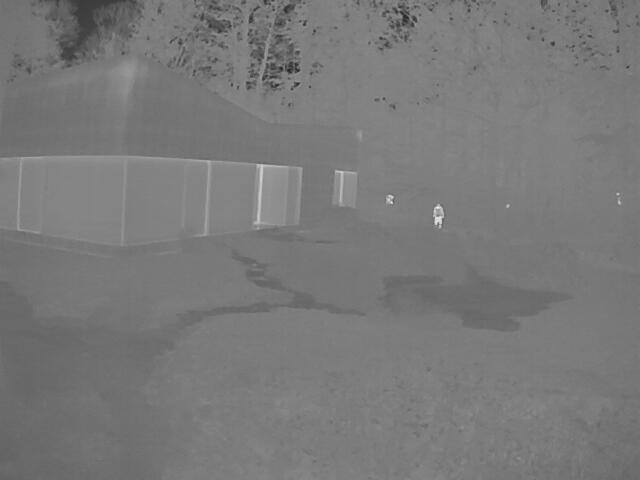 Fir Dataset Roboflow Universe