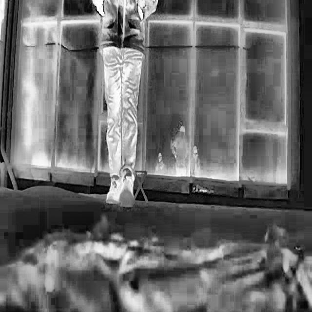 Infrared Vision Object Detection Dataset by REDDY PROJECT