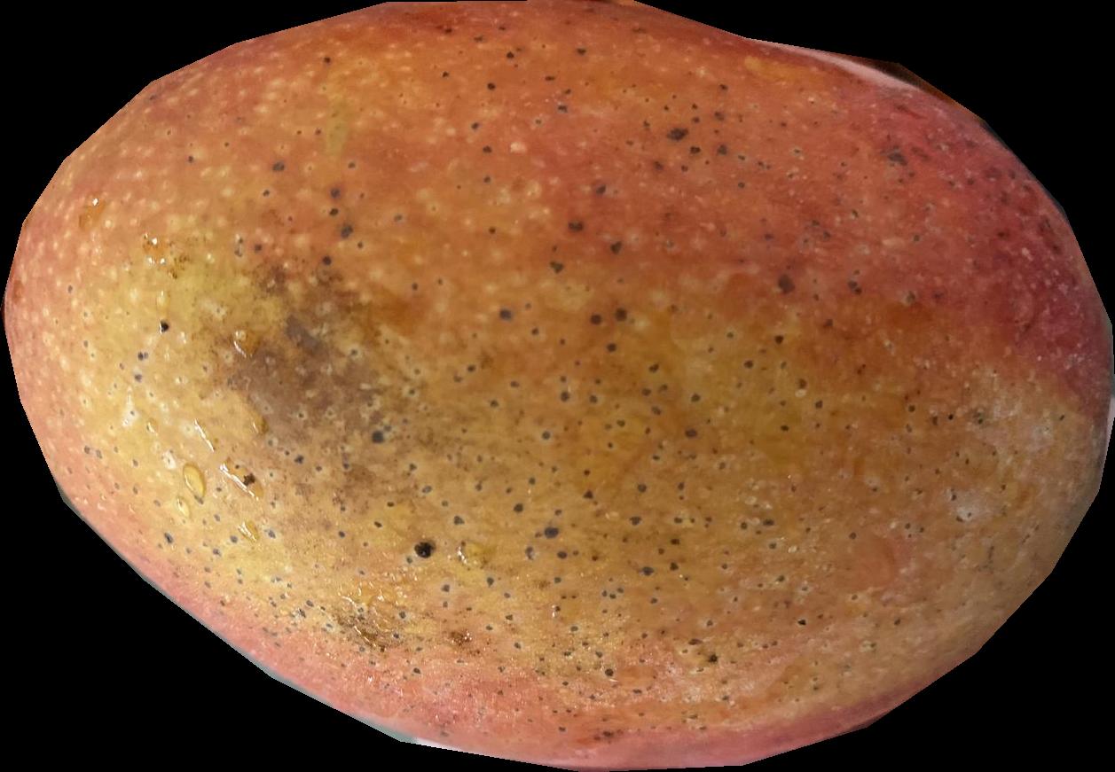 Fruits Ecuador Instance Segmentation Dataset by Vision Final