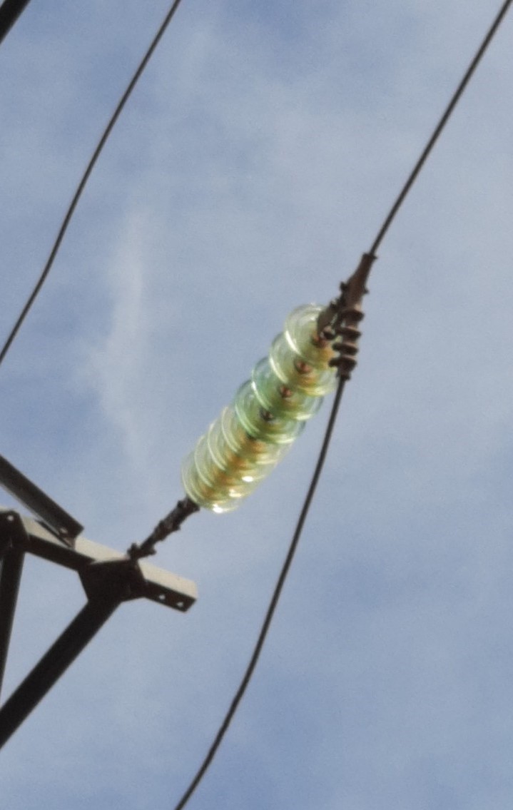 cach Object Detection Dataset by OSU