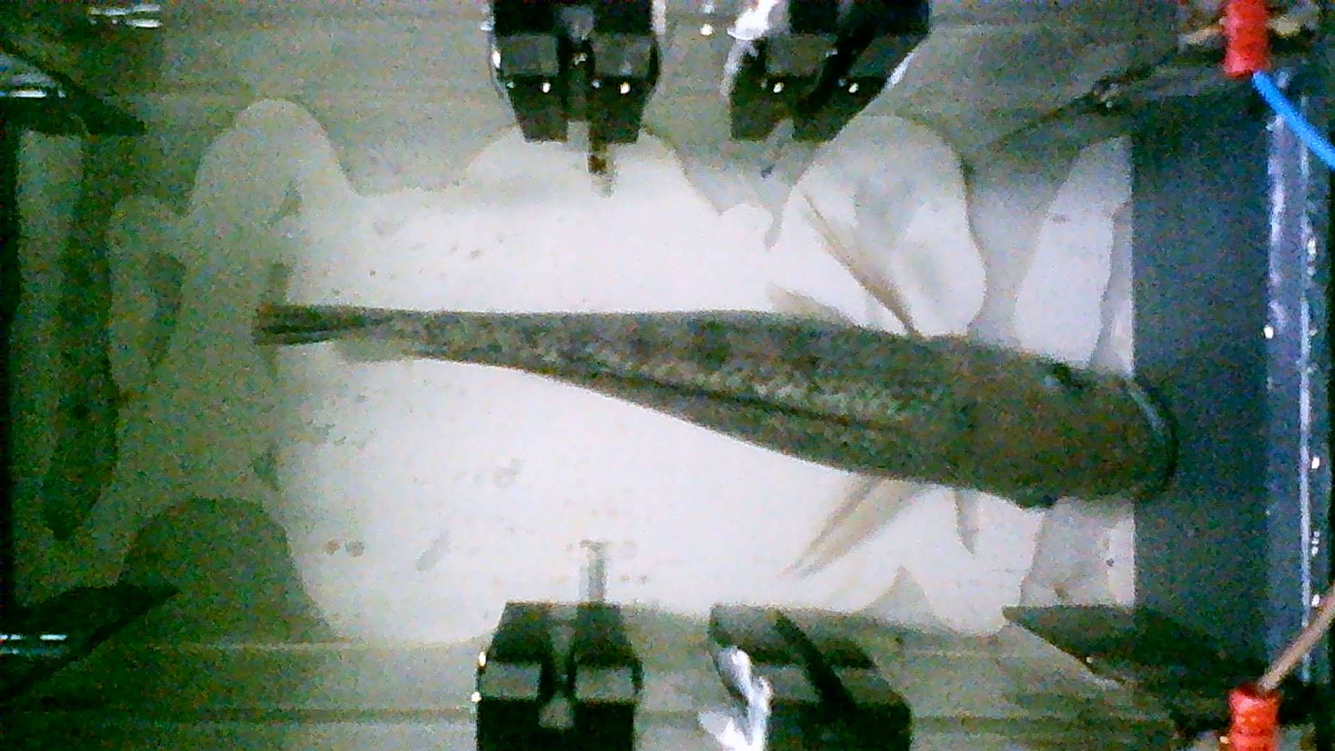 Fish Ditection Object Detection Dataset by ben gurion