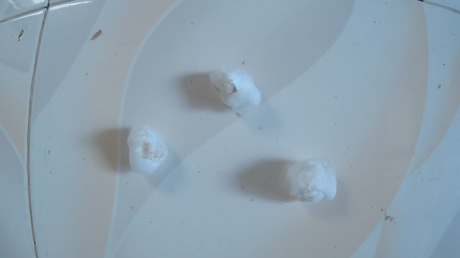 Waste Augmentation Residual Object Detection Dataset by Waste Detection