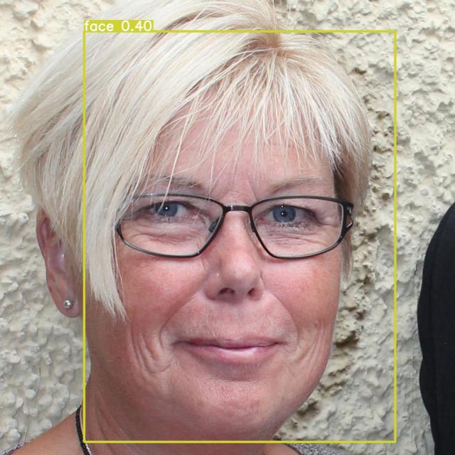 Face Object Detection Dataset By Sahil Patel